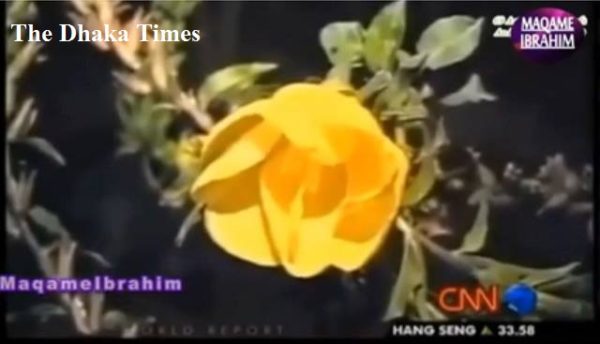 আযান ফুল ফোটে আযানের ধ্বনিতে! [ভিডিও] - The Dhaka Times